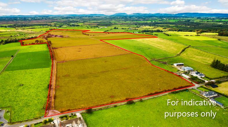 Fine cattle farm for sale in Co Galway - Free