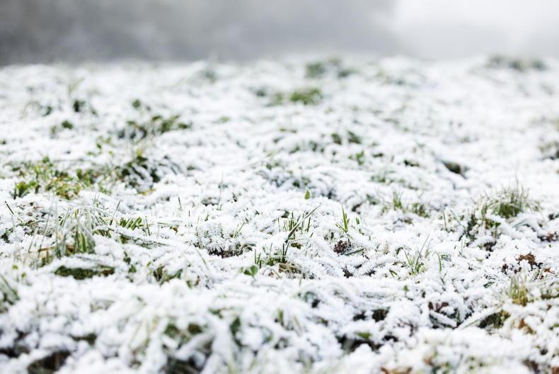 Home Farm: frost woes and frozen troughs - Premium