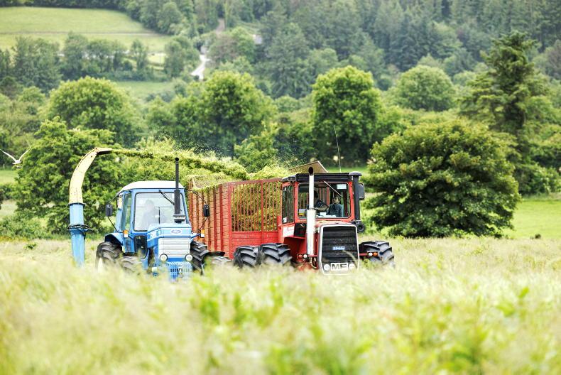 Remembering the glory days of a Kidd - Free