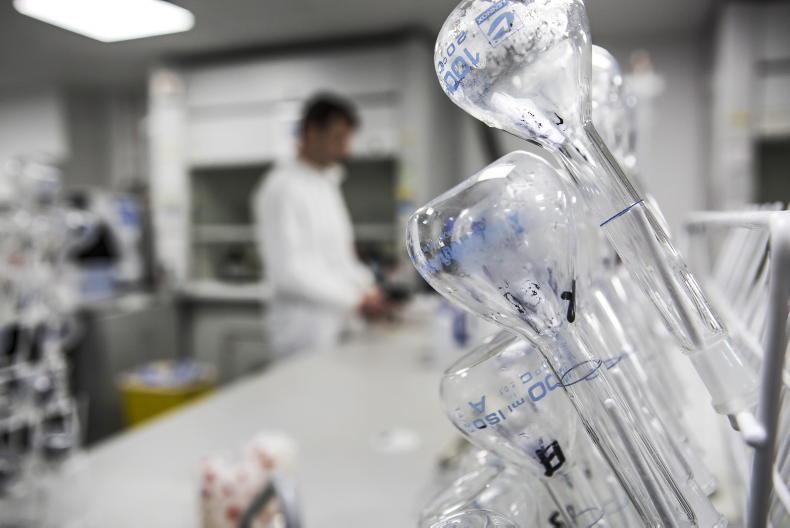 Dogpatch launches ‘2050’ drive for sustainable dairy - Free