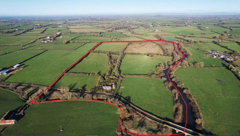 Limerick farm of 36ac going for auction - Free