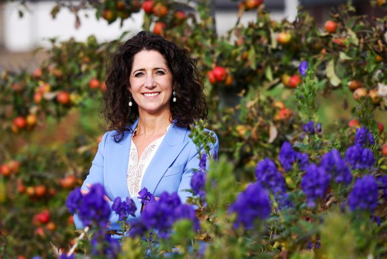 Laura Douglas: ready to Bloom - Free