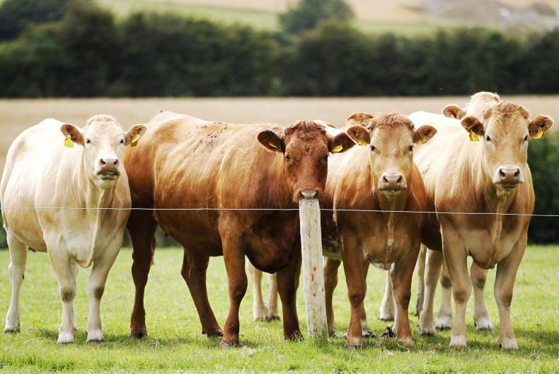Five tips to stretch grass covers - Free