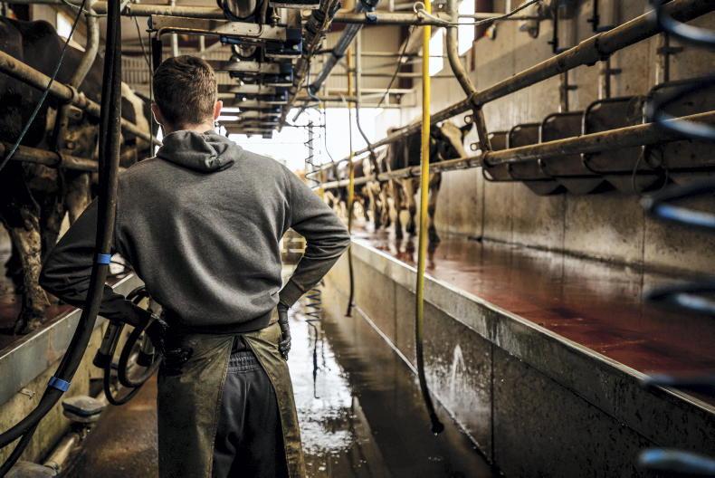 Agri jobs: dairy farm managers and workers wanted - Free