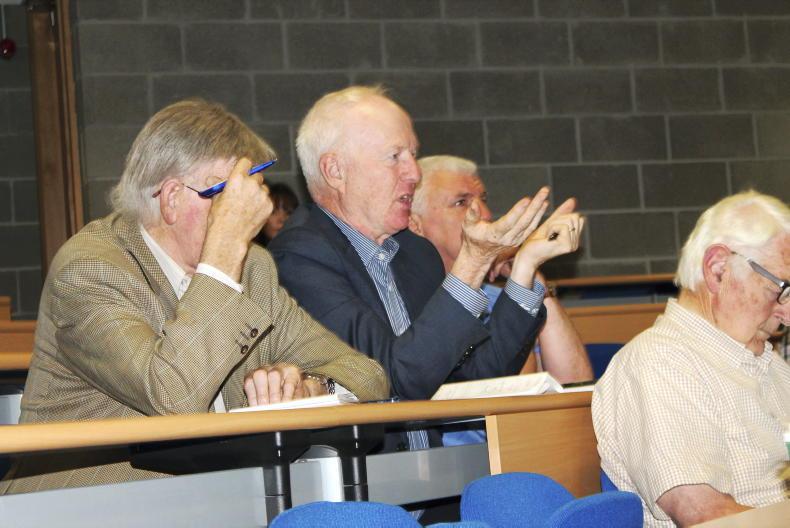 Recalling Sheehy's psychological analysis of beef sector - Free