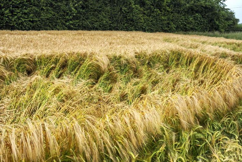 Tillage management: Wet weather makes work stop and start