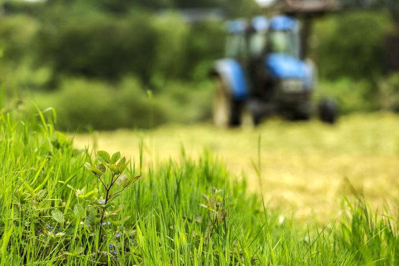 ACRES scorecard extension cannot delay farmer payments - IFA - Free