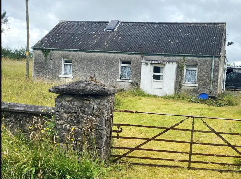 40ac Longford farm is close to popular Lough Ree - Free