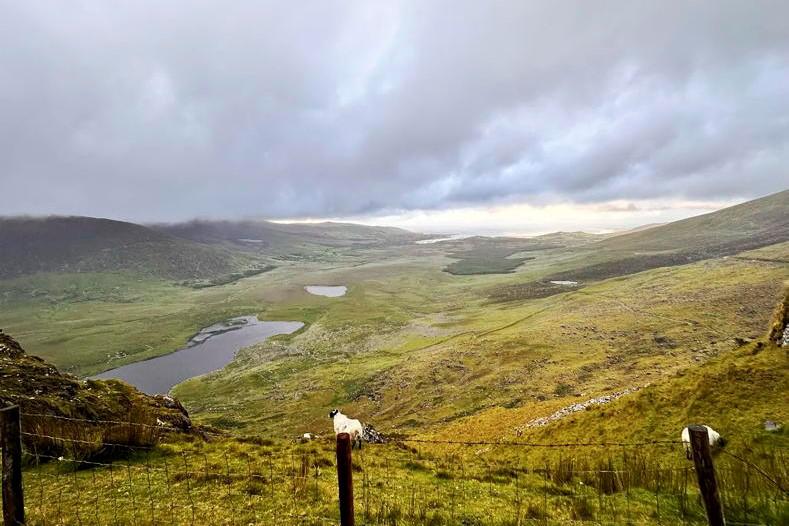 Brisk demand for Kerry's Conor Pass - Free
