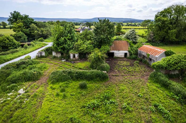 Small land parcel with derelict house in Laois - Free