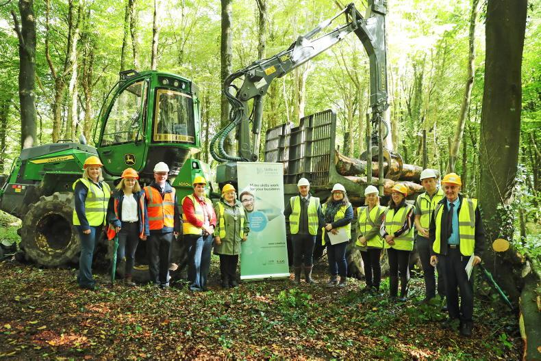 Teagasc launches new forestry training course