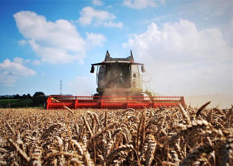 In pictures: our favourite farming photos of the week - Free