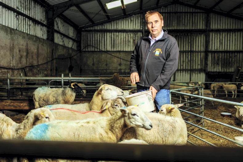 Nature Restoration Law could push thousands off the land - Roddy - Premium