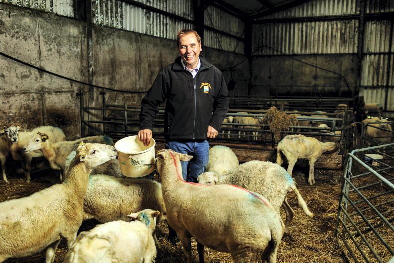 Sheep support welcome but overall budget disappointing - INHFA - Free