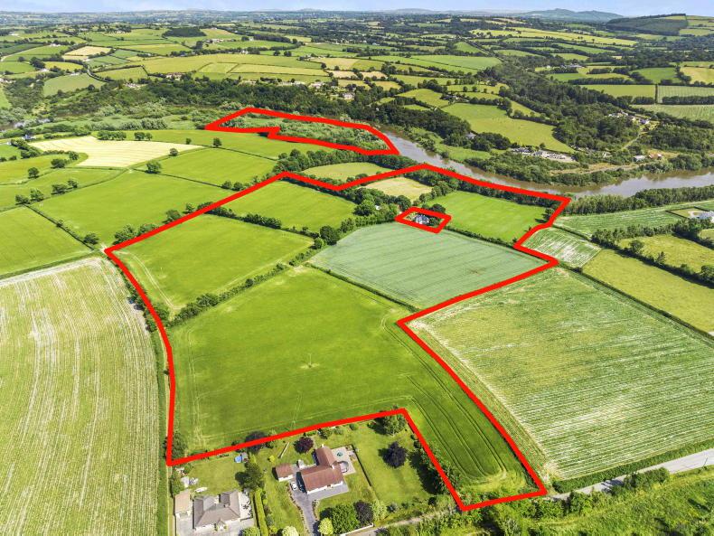 Two holdings for auction in Co Kilkenny - Free
