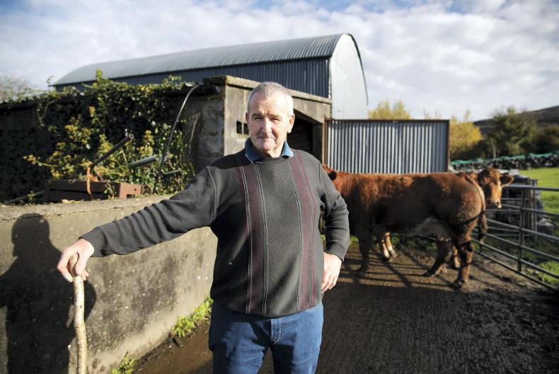Irish Farmers Journal – For the Latest Farming News in Ireland
