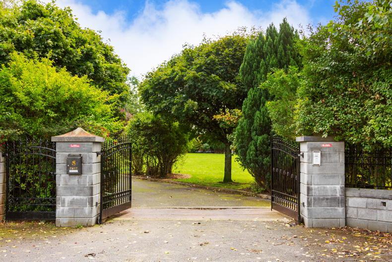 A winning property at the Curragh - Free