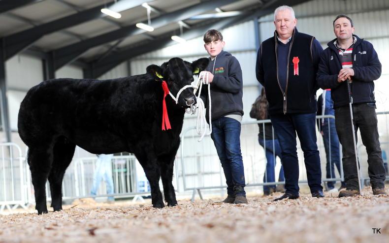 Irish Farmers Journal – For the Latest Farming News in Ireland