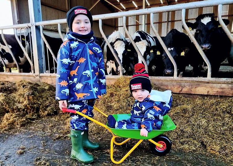 In pictures: our favourite reader photos of the week - Free