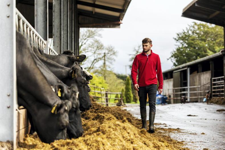 My Farming Week: Daniel McHugh, Newtownforbes, Co Longford - Free