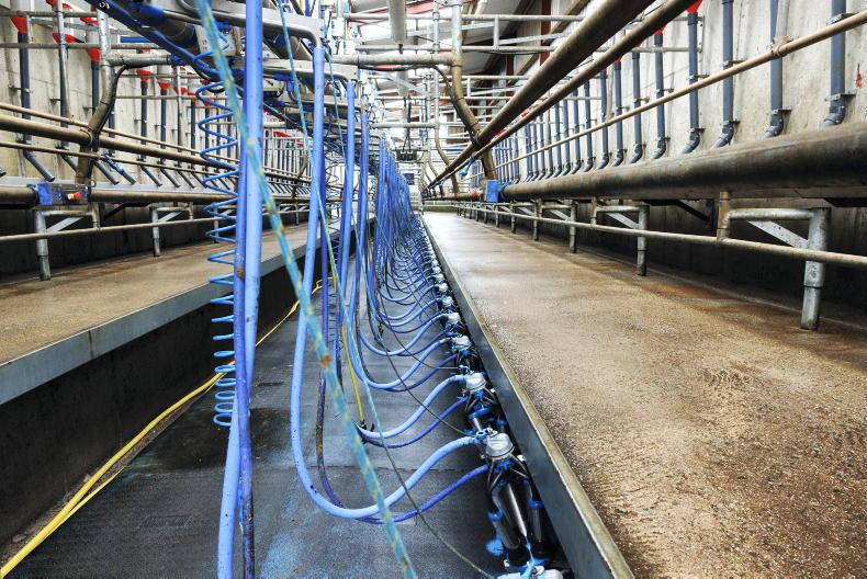 Agri jobs: dairy farm assistants required across country