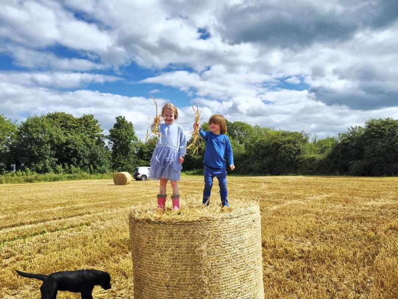 Readers' photos: here are our favourite photos this week