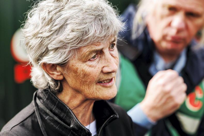 Succession scheme needs to cater for young and old – Catherine Connolly