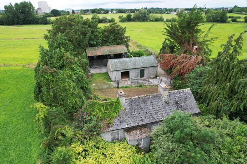 Mixed results for trio of Limerick farms at auction