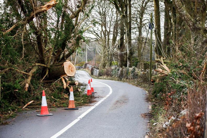 Extreme weather set to test Ireland's economic resilience