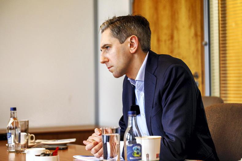 Colm McCarthy: economy is strong, but warning light flashes