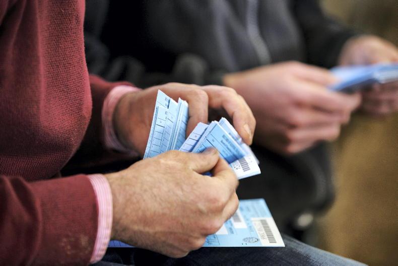 Conditions for live exports outlined in light of bluetongue case