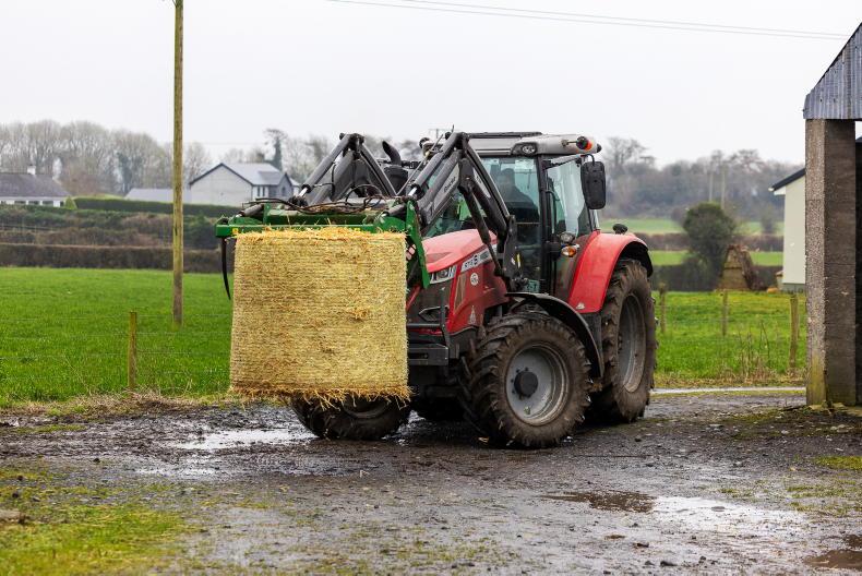 Beef Management: hygiene at calving, first calved heifers and Bluetongue
