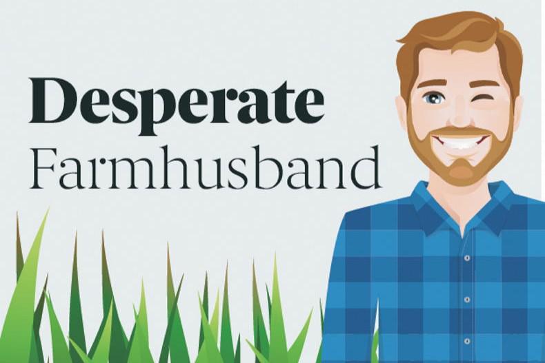 Desperate Farmhusband: ‘basking in the glow of solar power'