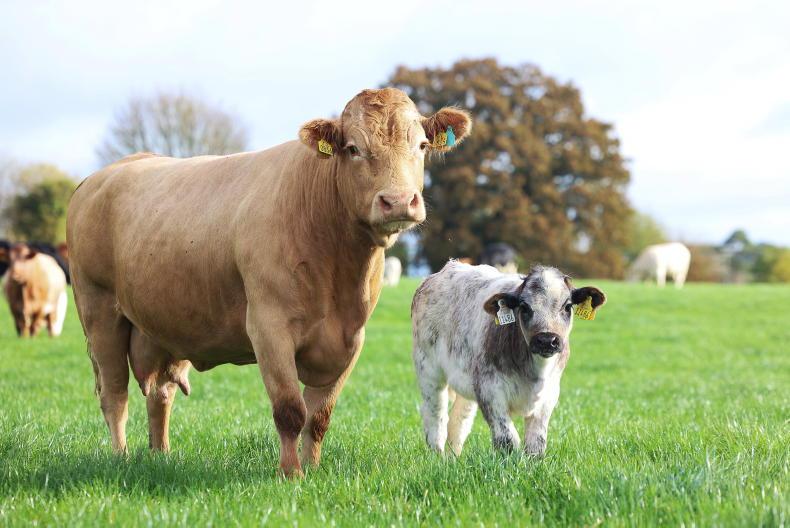 Climate change and generational renewal shaping future farming - study