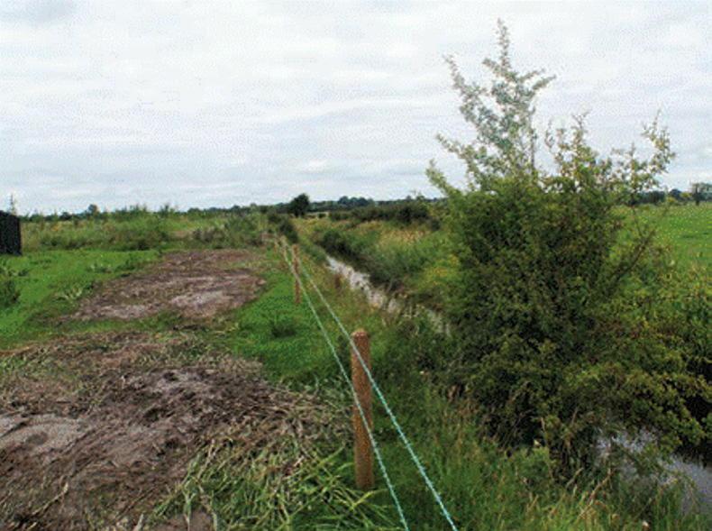 Dempsey at Large: the sewage options