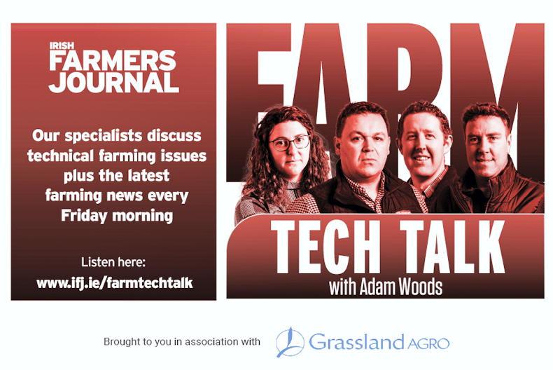 Farm Tech Talk: Dutch calf import market and livestock trade update